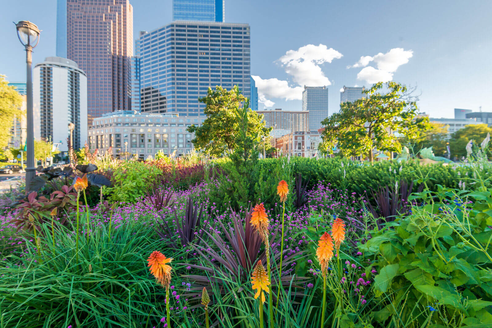 The Pennsylvania Horticultural Society - Alexander Babbage
